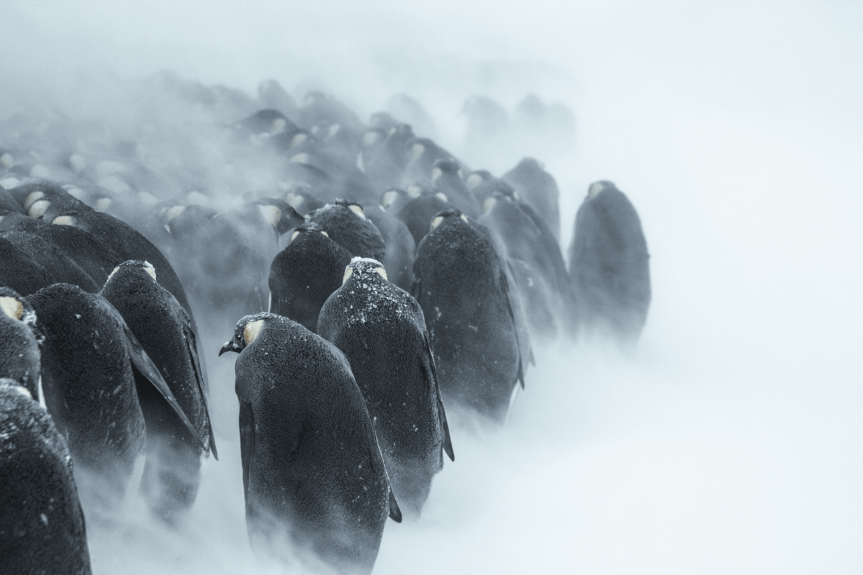 Julien Vasseur - Bouts du monde