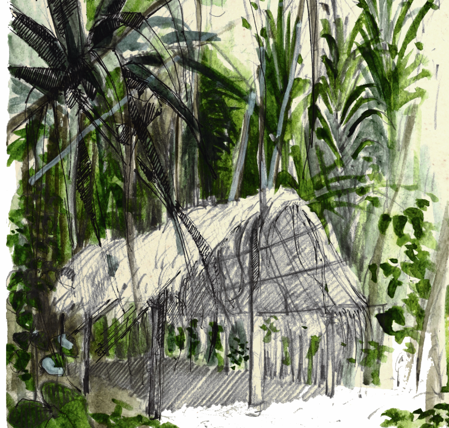 Au cœur de la jungle amazonienne - Bouts du monde